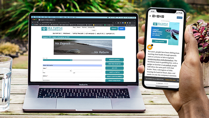 Nonprofit advertising examples: Inspiration for ad campaigns